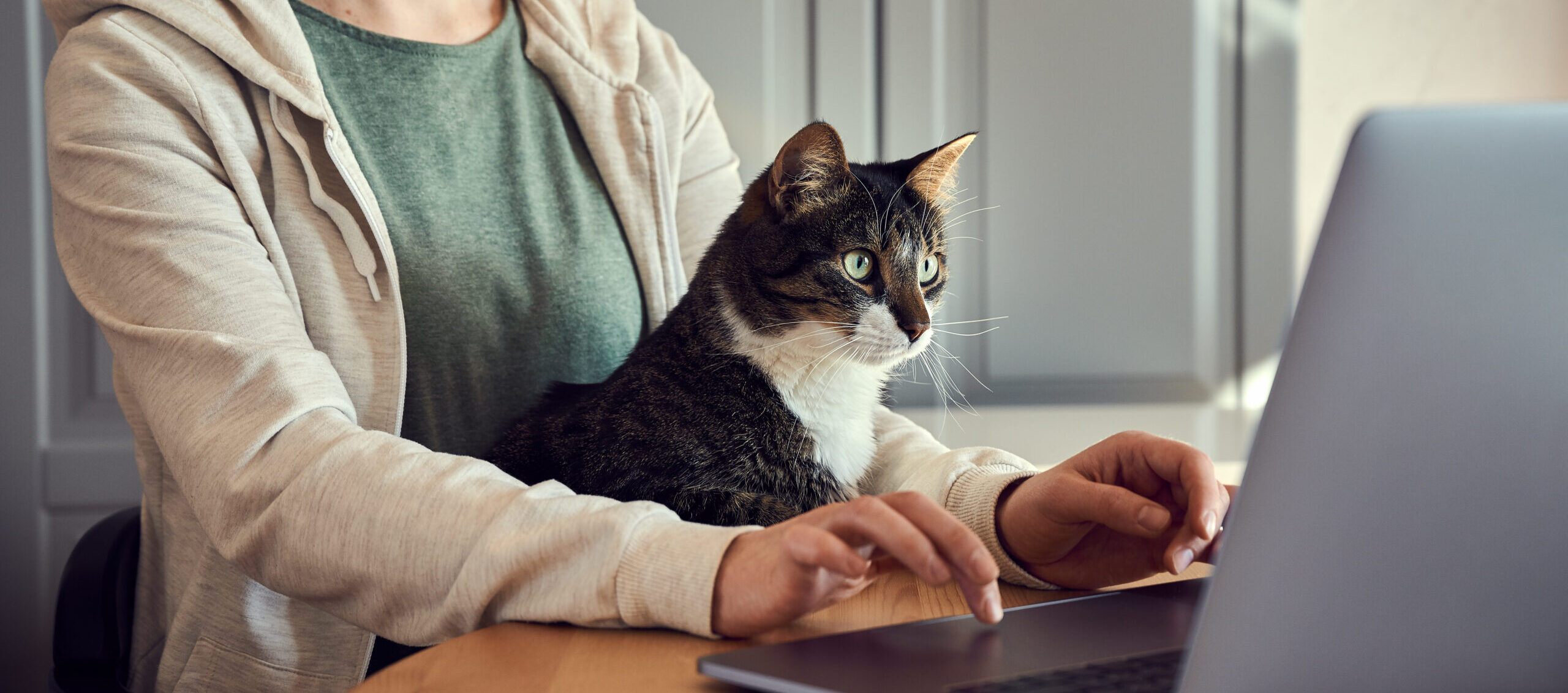 PetDesk | Waunakee Veterinary Clinic